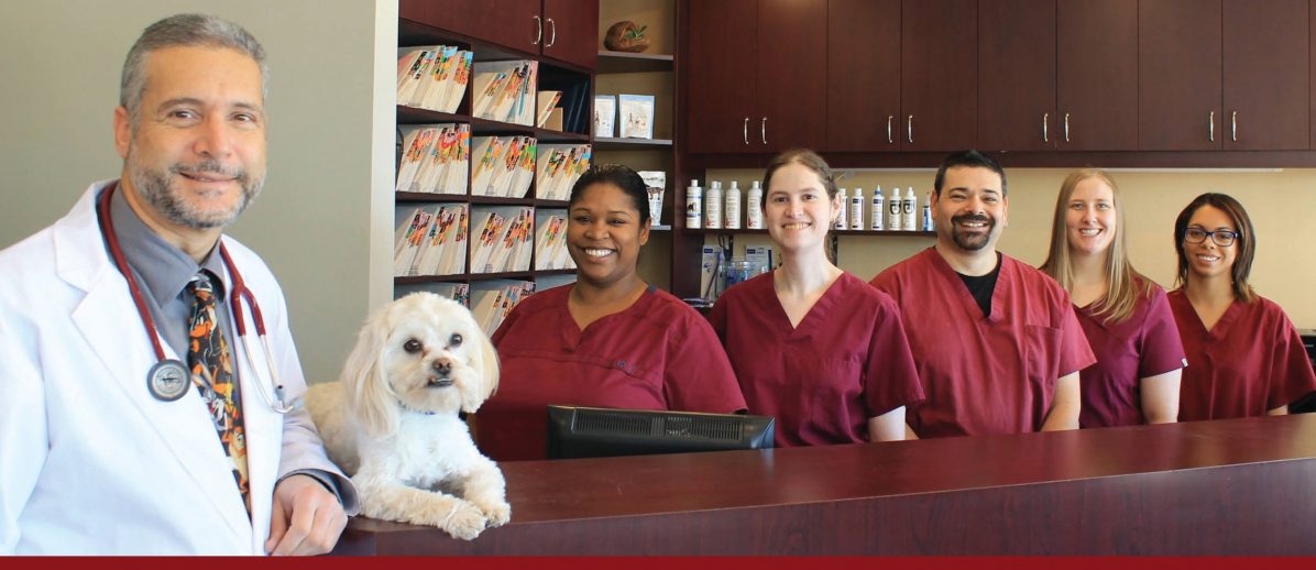 animal clinic - Centre Street Animal Hospital